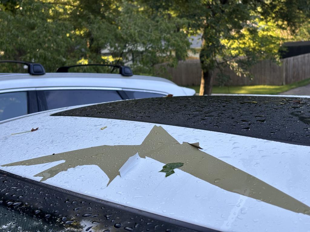 2018 Honda HR-V Paint Is Peeling In Sheets From The Roof: 1 Complaints
